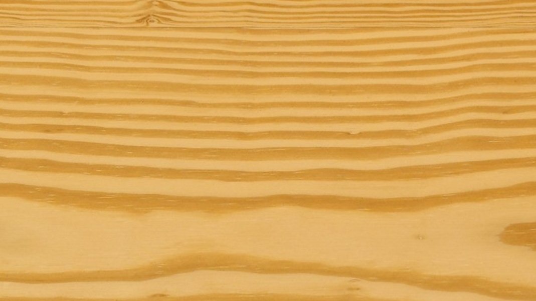 🚢🌲 Madera de Mobila. Una historia de indios y… | ALMUDENA GANCEDO